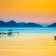 Cebu Pacific Air Wallpapers (34 images) - WallpaperCat