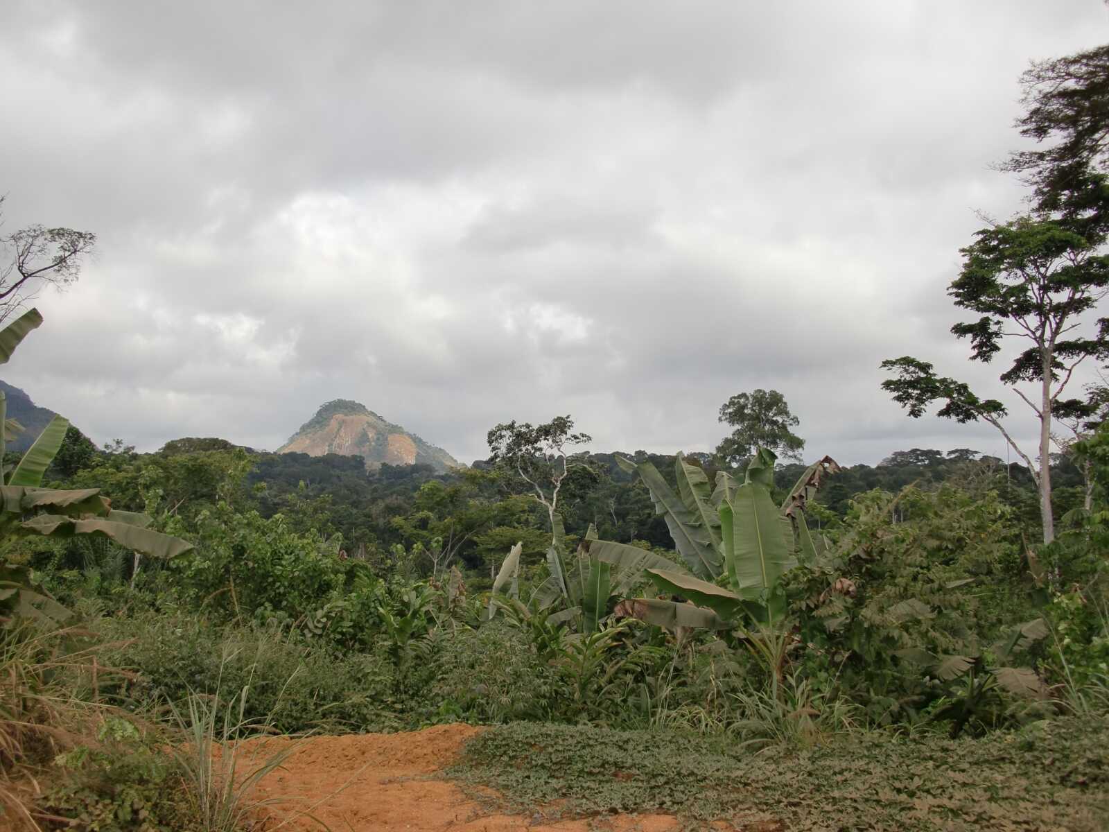 Equatorial Guinea Wallpapers (20 images) - WallpaperCat