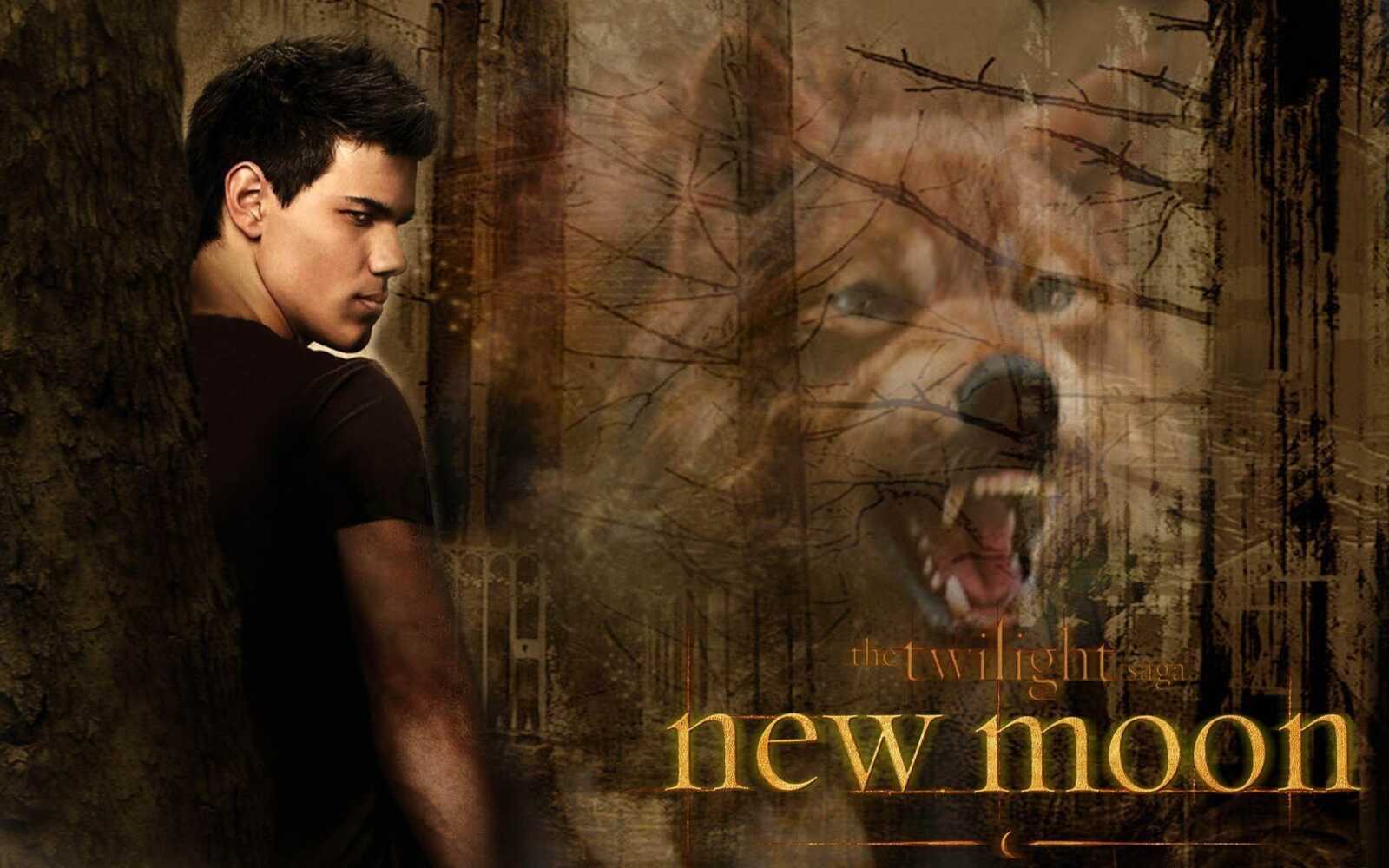 Twilight Werewolves Wallpapers (15 images) - WallpaperCat