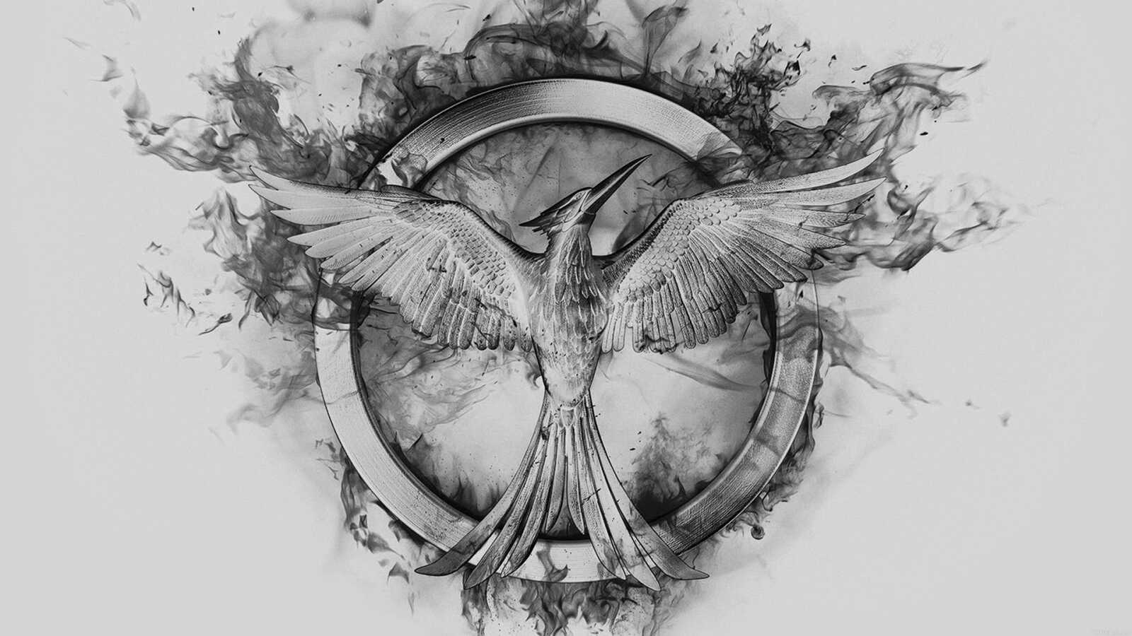 Hunger Games Wallpapers (63 images) - WallpaperCat