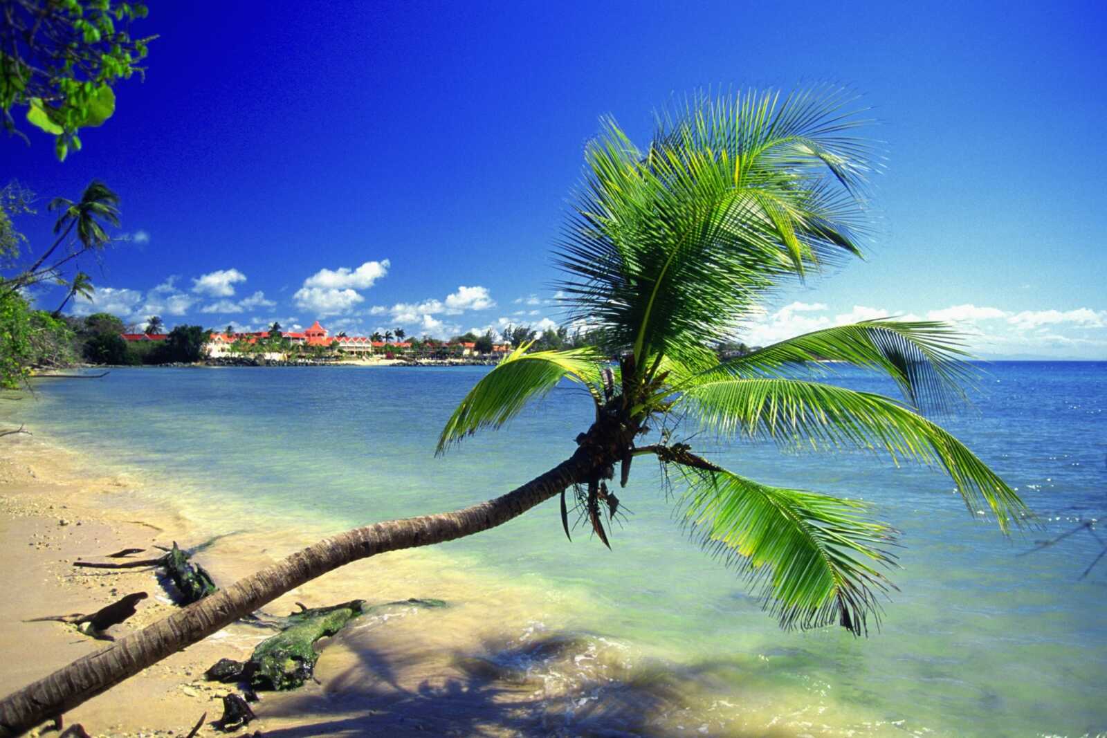 Trinidad and Tobago Wallpapers (20 images) - WallpaperCat