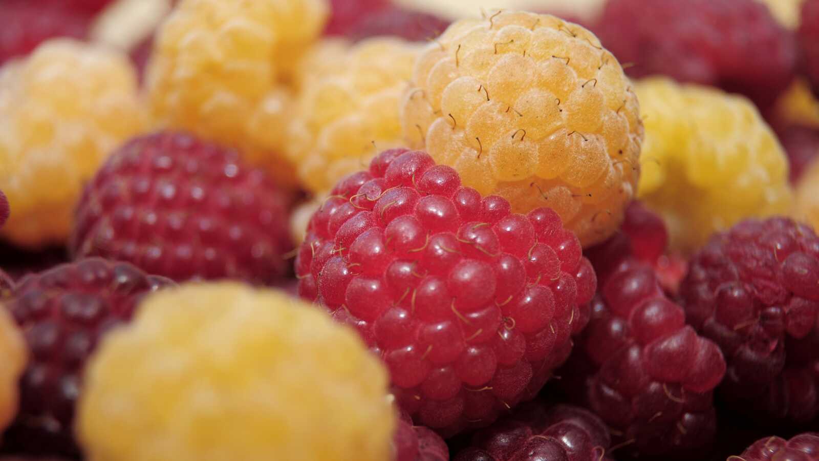 Raspberry Wallpapers (50 images) - WallpaperCat