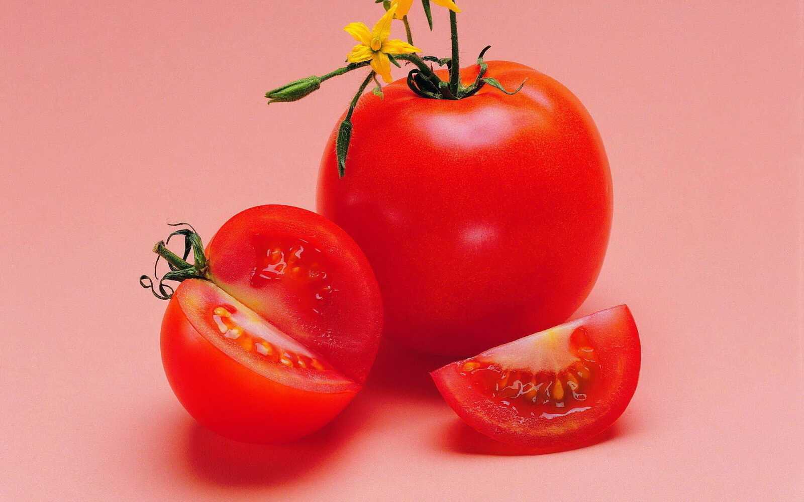 Tomato Wallpapers (70 images) - WallpaperCat