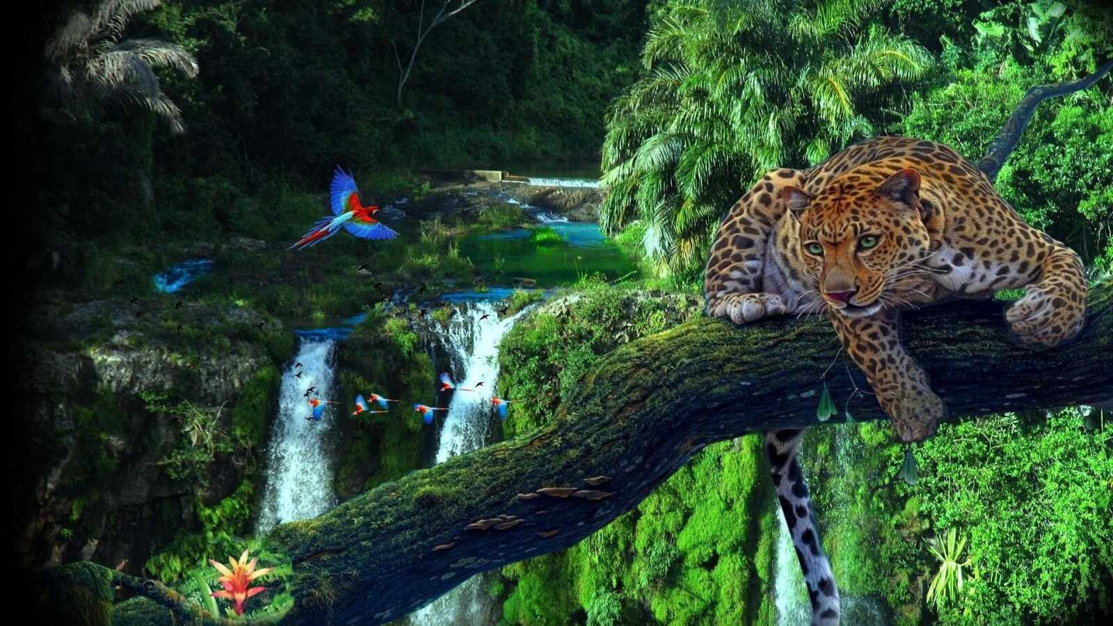Jungle Animal Wallpapers (28 images) - WallpaperCat