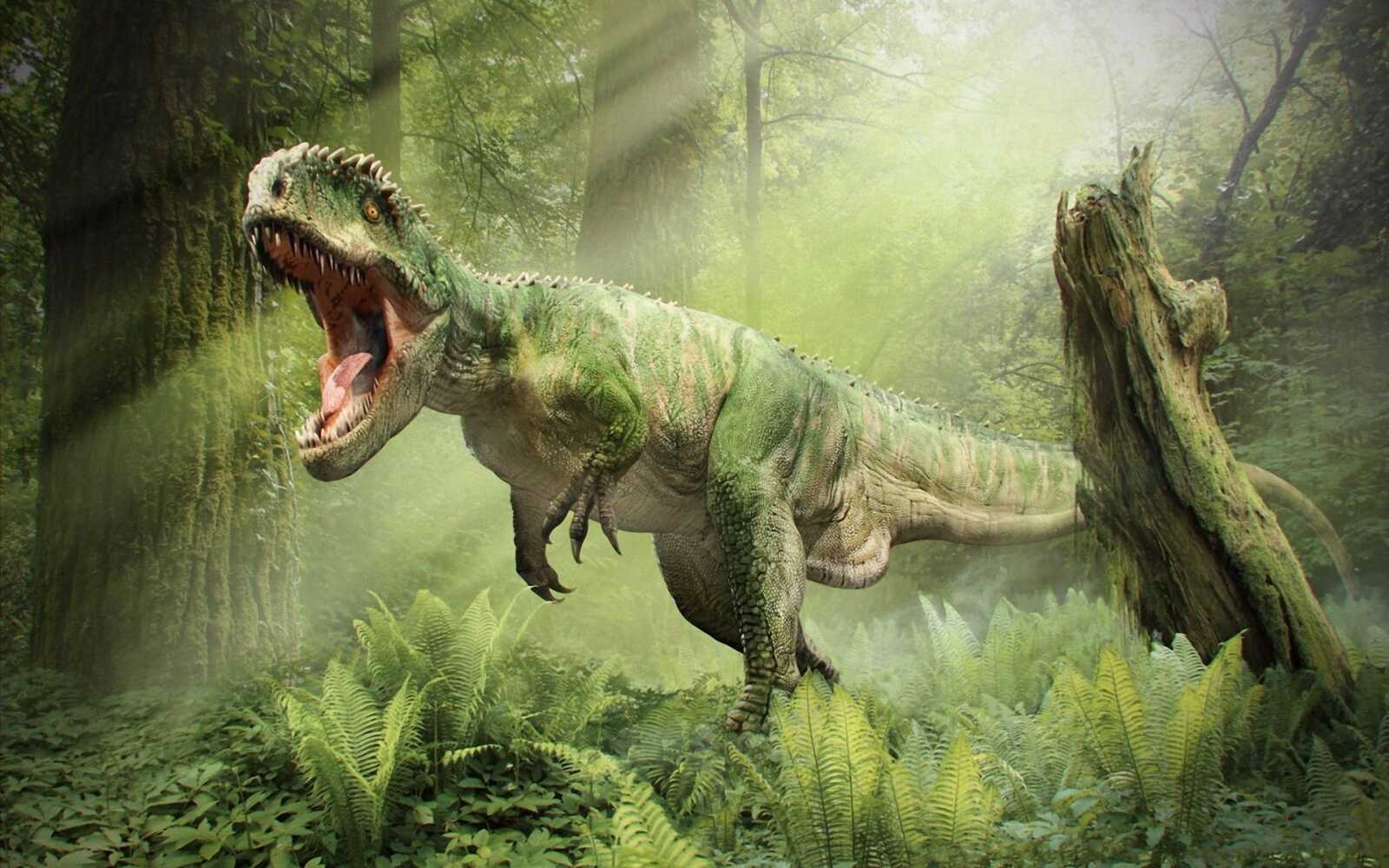 Dinosaur Wallpapers (38 images) - WallpaperCat