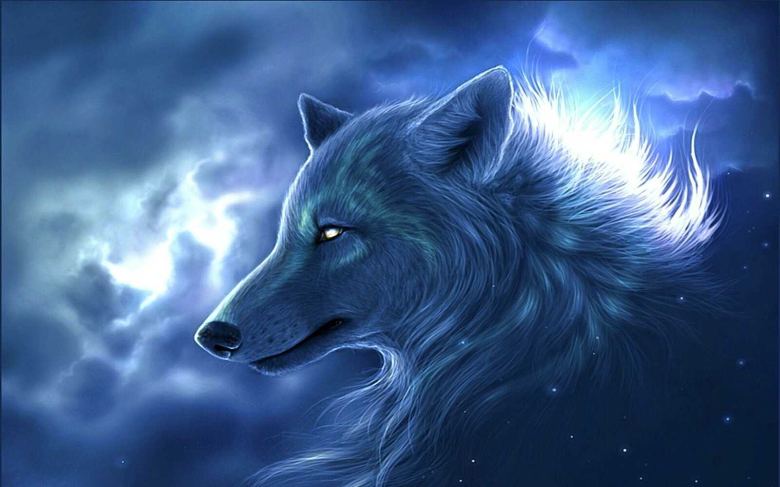 Wolf Wallpapers (122 images) - WallpaperCat