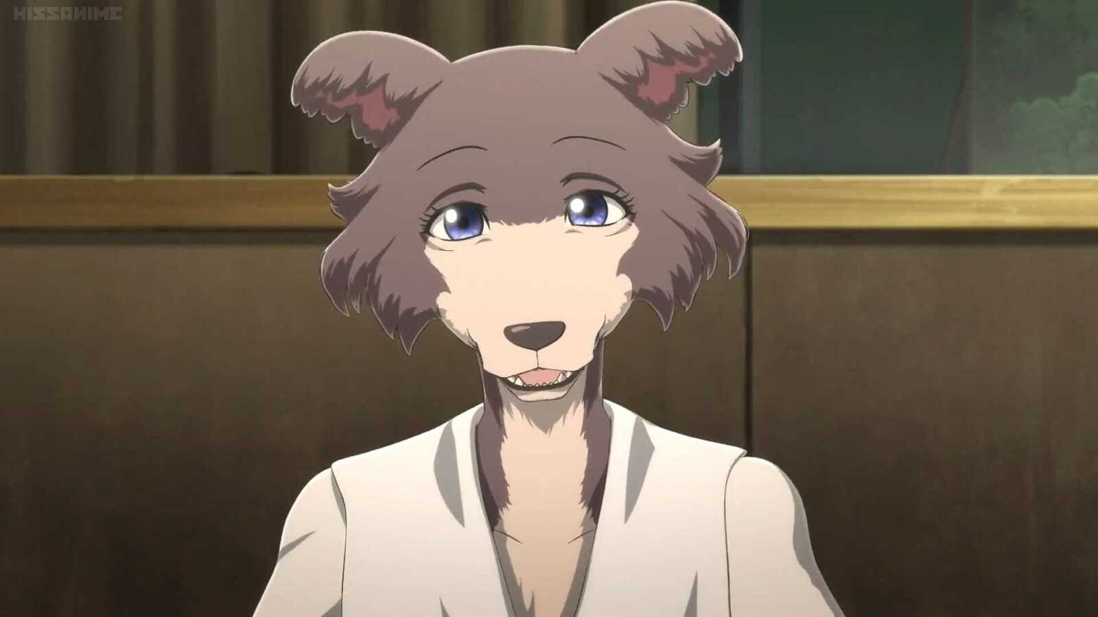 BEASTARS Wallpapers (39 images) - WallpaperCat