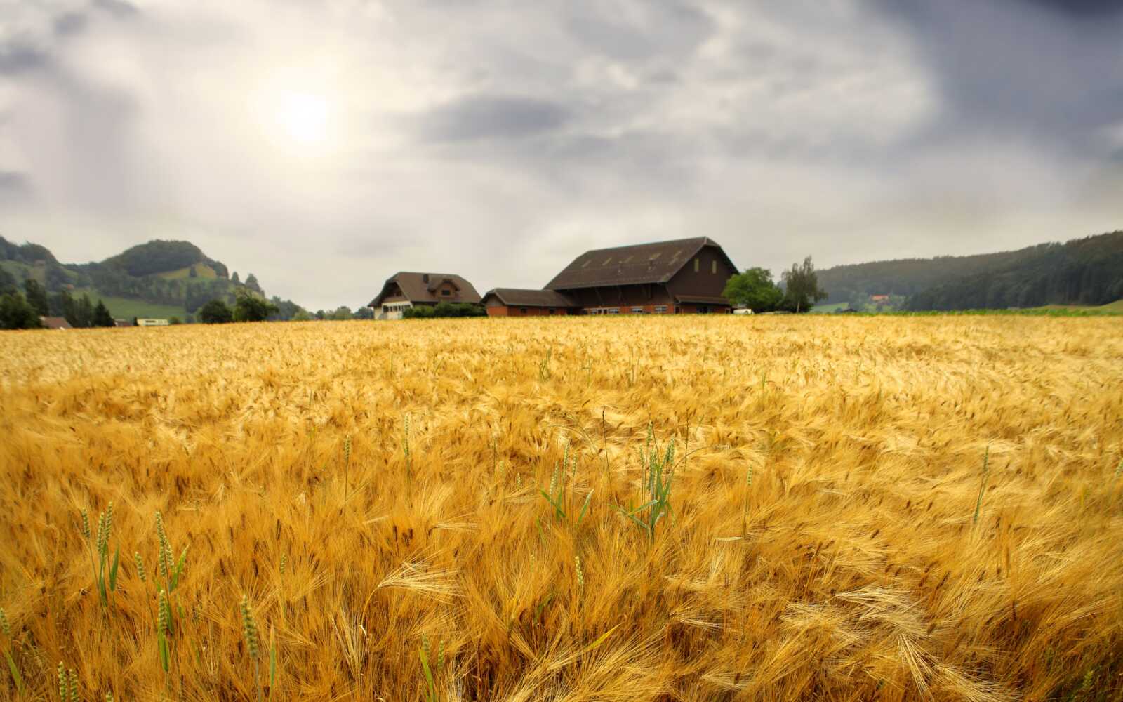 Farm Wallpapers (97 images) - WallpaperCat