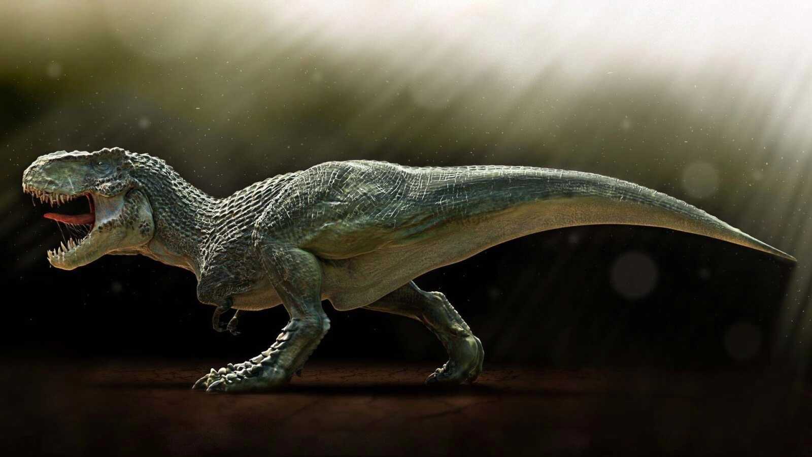 Tyrannosaurus Rex Wallpapers (40 images) - WallpaperCat