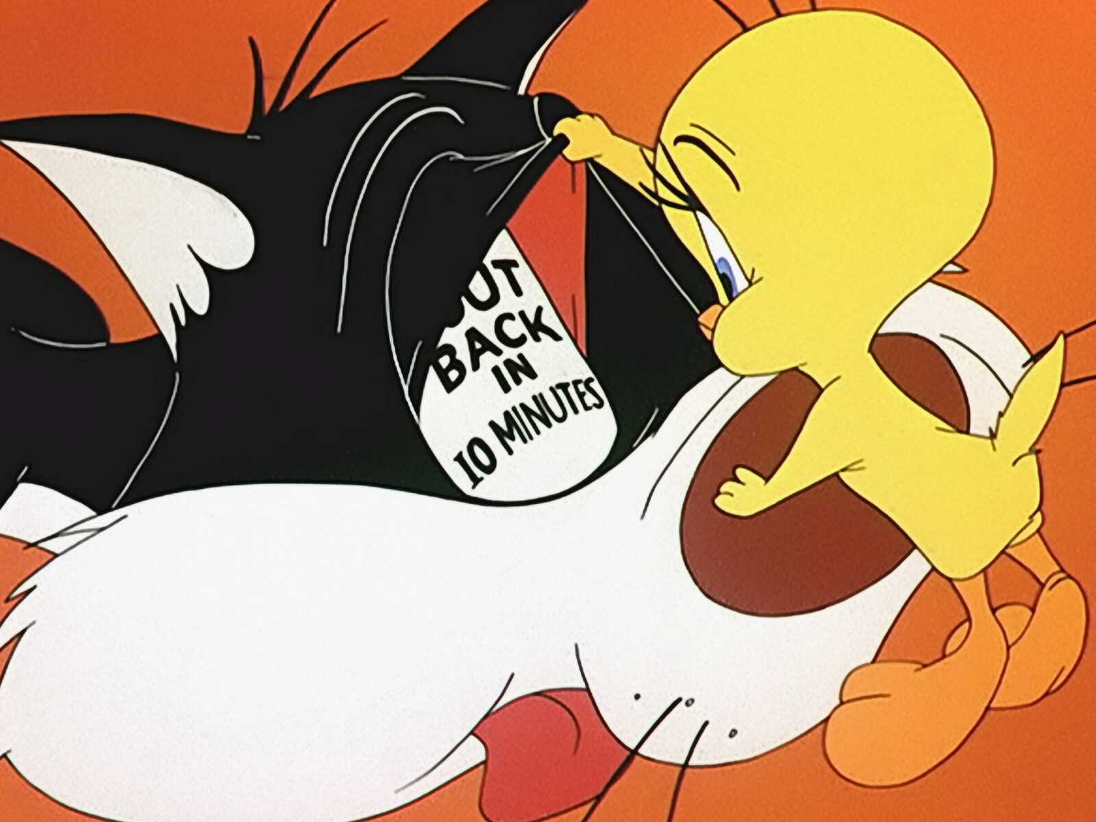 Sylvester the Cat Wallpapers (40 images) - WallpaperCat