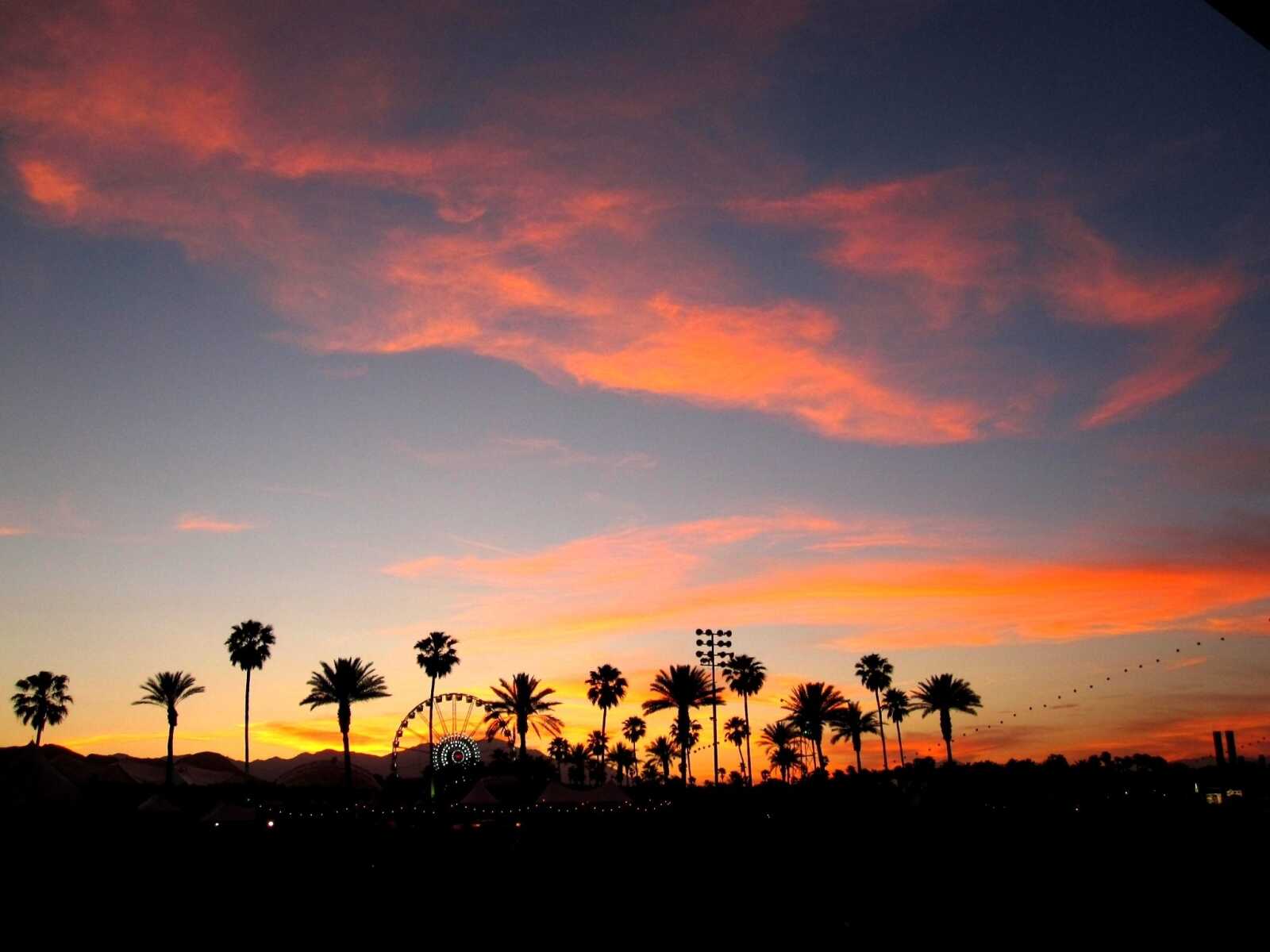 Coachella Wallpapers (32 images) - WallpaperCat