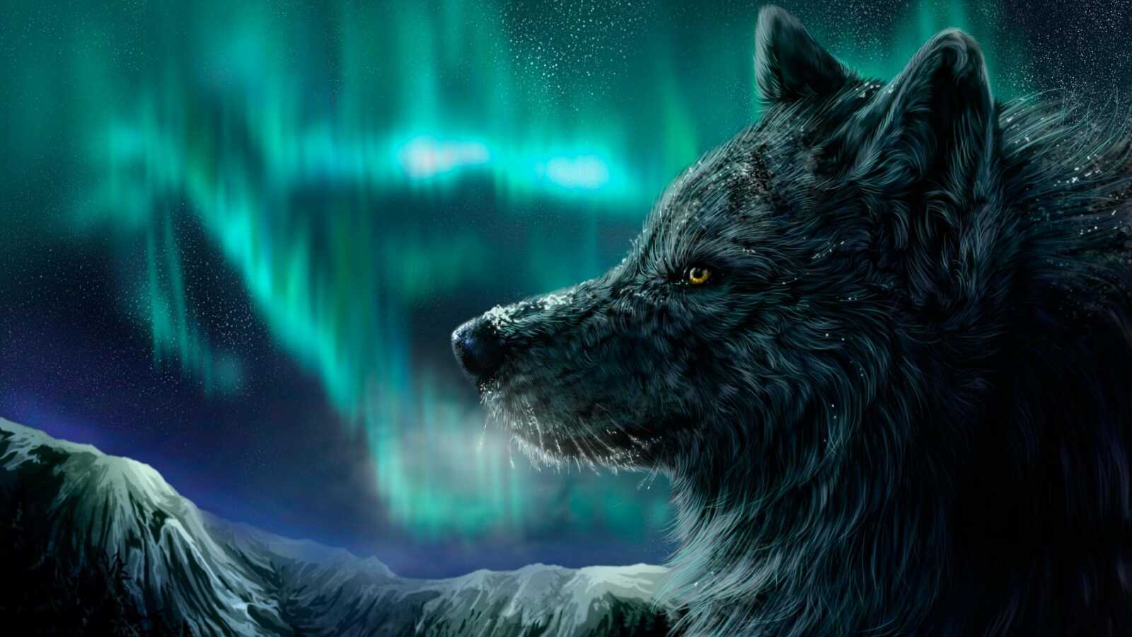 Wolf Wallpapers (122 images) - WallpaperCat