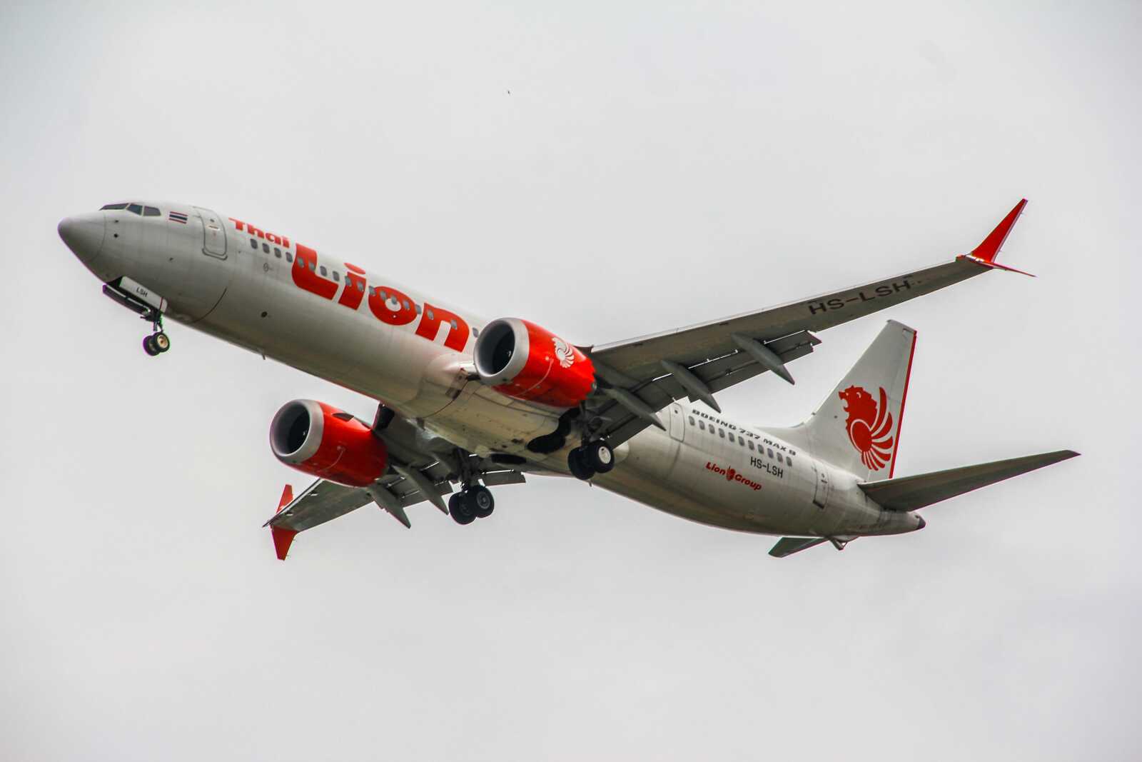 Lion Air Wallpapers (28 images) - WallpaperCat