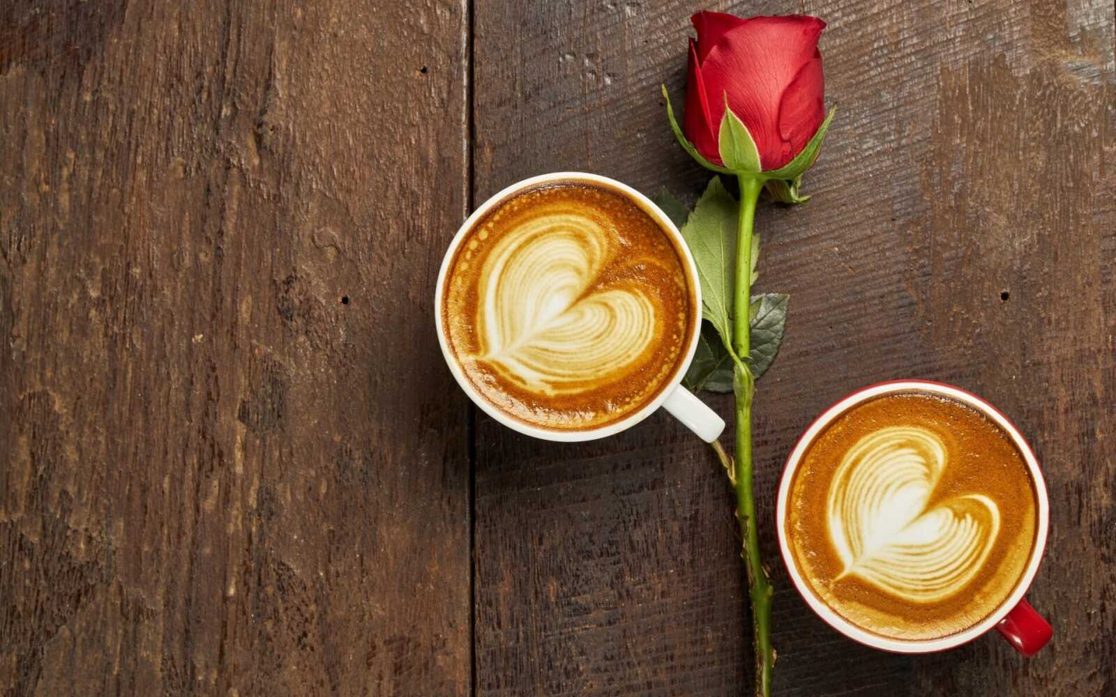 Rose Wallpapers (40 images) - WallpaperCat