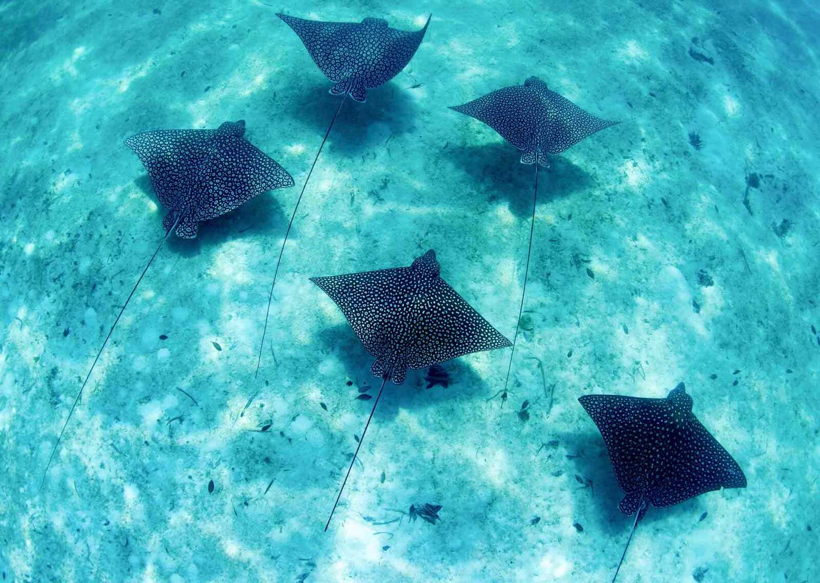 Belize Wallpapers (53 images) - WallpaperCat