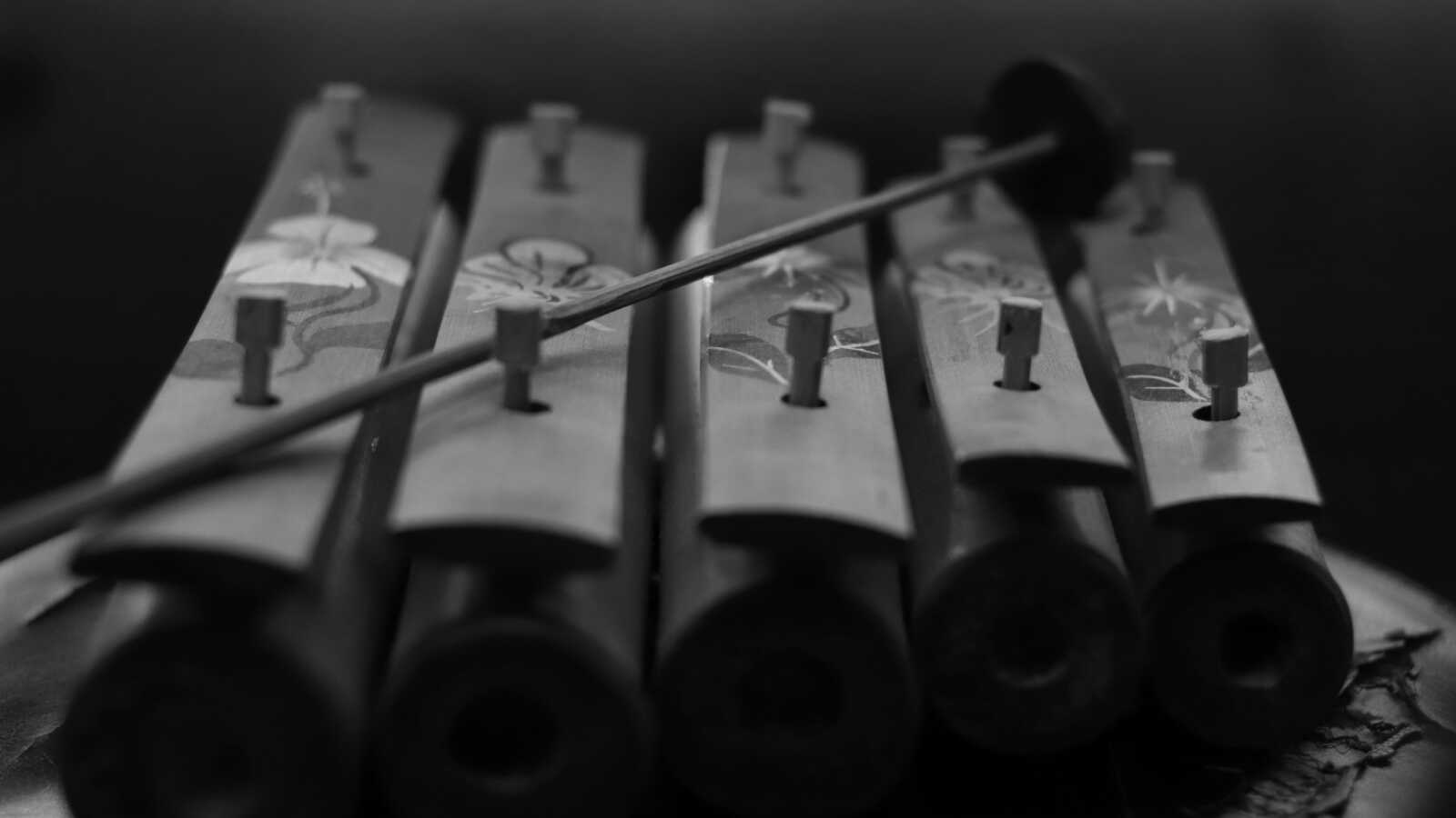 Xylophone Wallpapers (15 images) - WallpaperCat