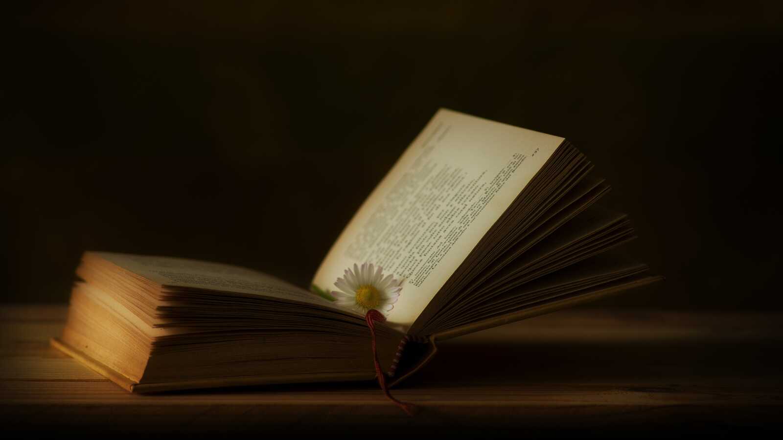 Book Wallpapers (113 images) - WallpaperCat