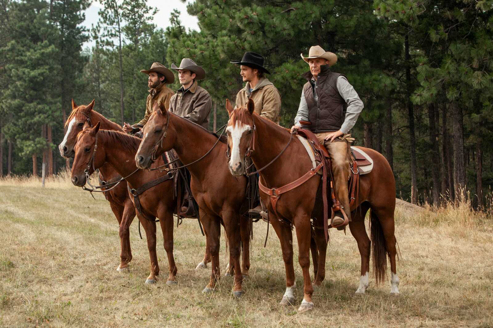 Yellowstone (TV Series) Wallpapers (32 images) - WallpaperCat