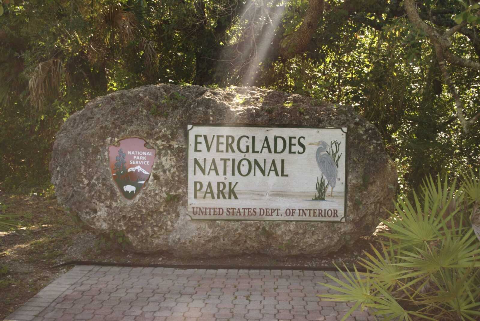 Everglades National Park Wallpapers (51 images) - WallpaperCat
