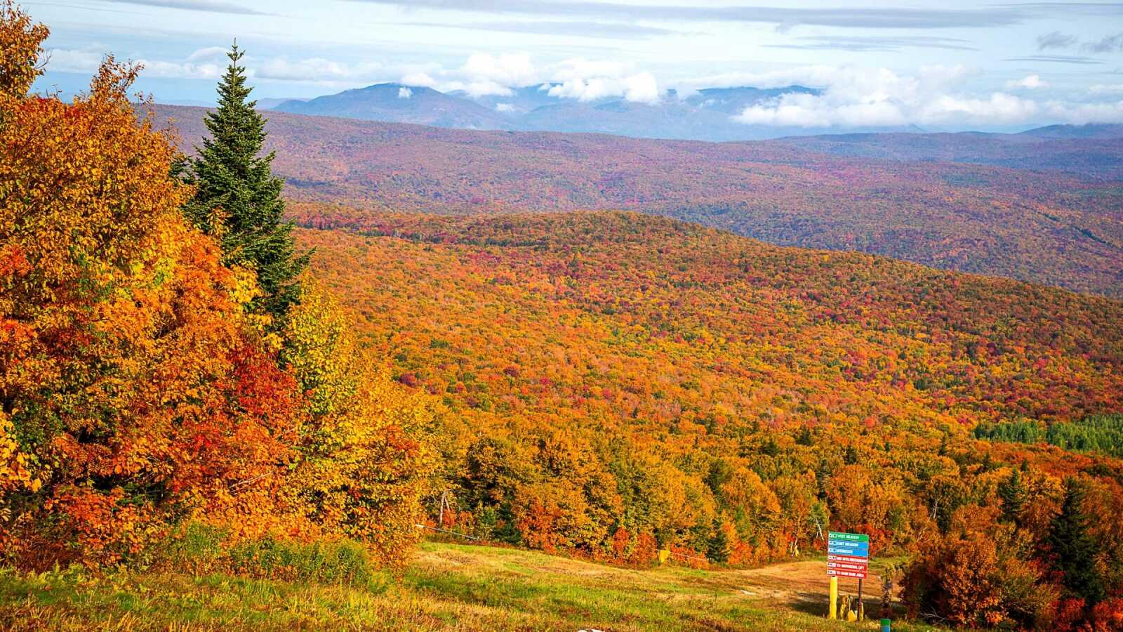 Fall Wallpapers (63 images) - WallpaperCat