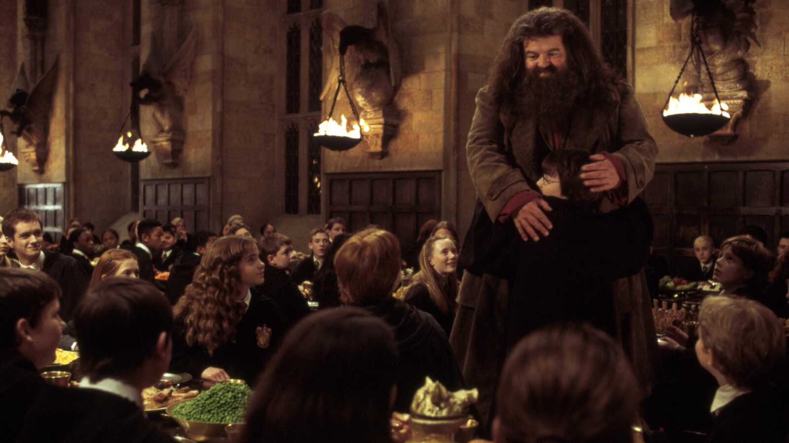 Hagrid Wallpapers (24 images) - WallpaperCat