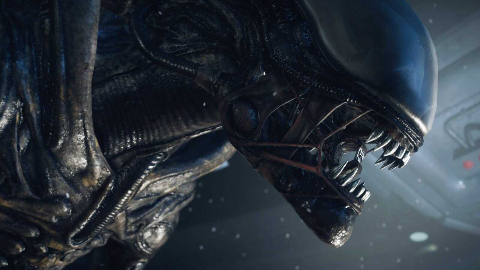 Alien (Movie) Wallpapers (26 images) - WallpaperCat