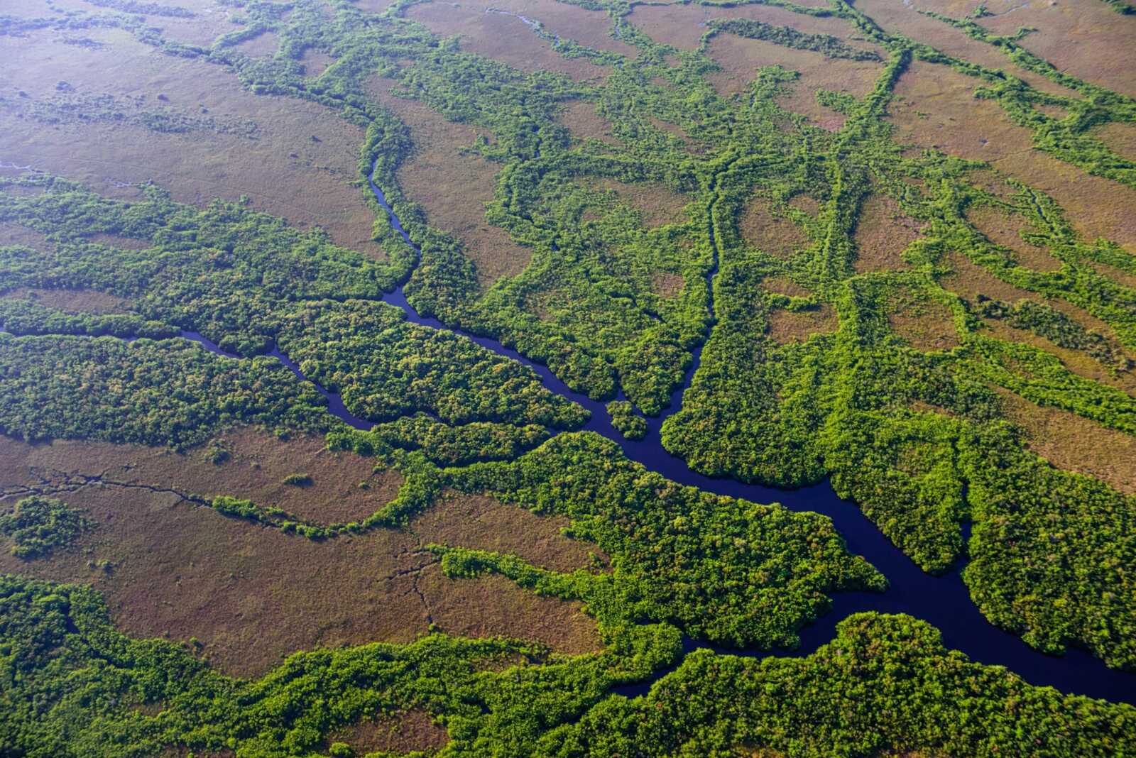 Everglades National Park Wallpapers (51 images) - WallpaperCat