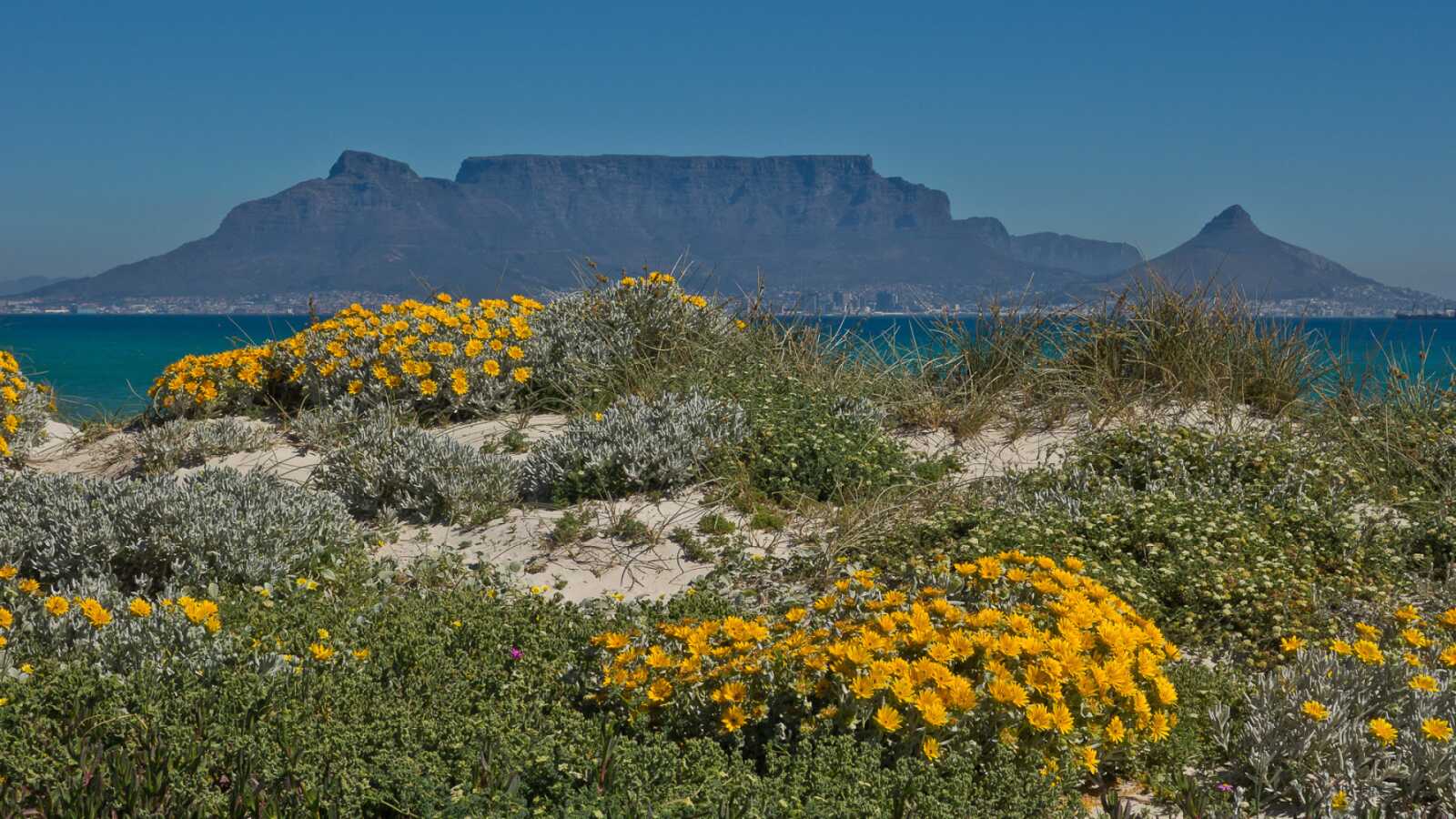 Table Mountain Wallpapers (41 images) - WallpaperCat