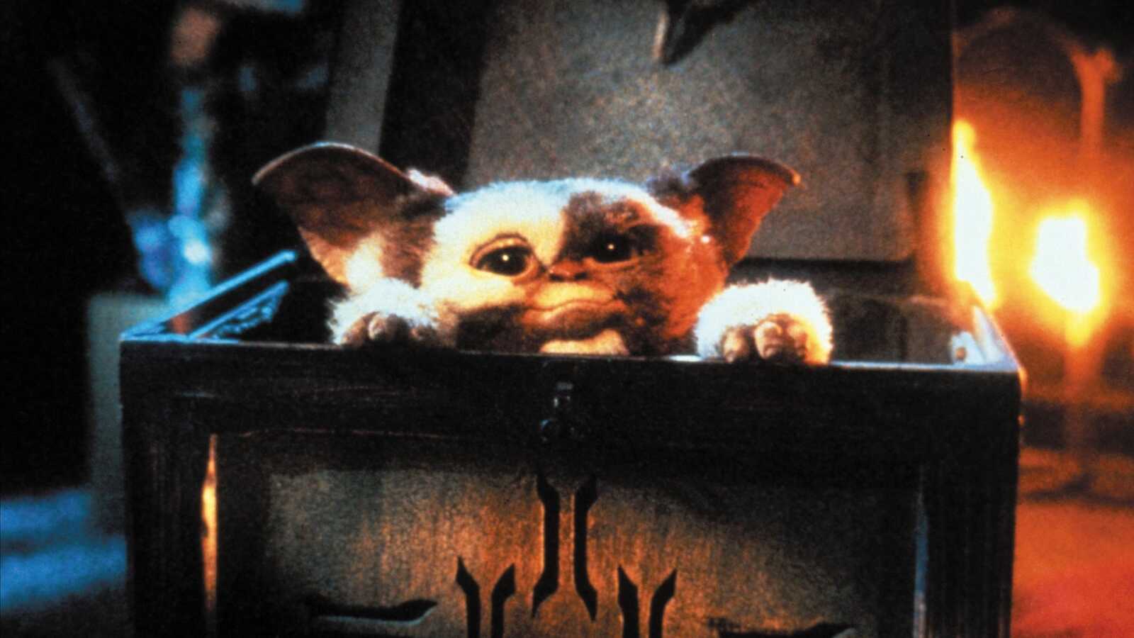 Gremlin Gizmo Wallpapers (26 images) - WallpaperCat