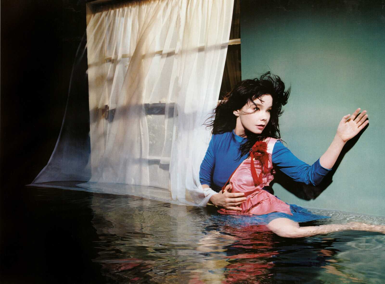 Bjork Wallpapers (27 images) - WallpaperCat