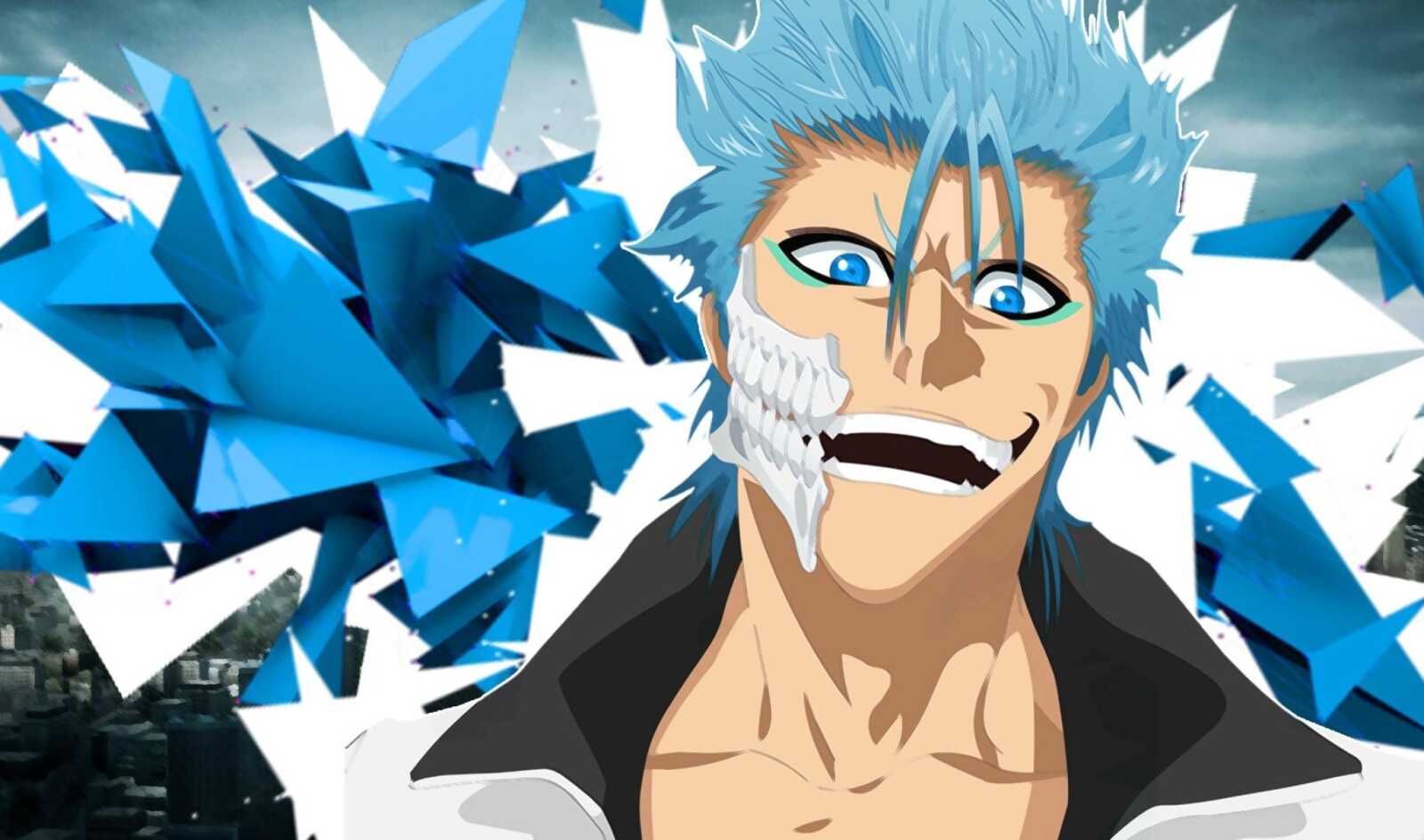 Grimmjow Jaggerjack Wallpapers (29 images) - WallpaperCat
