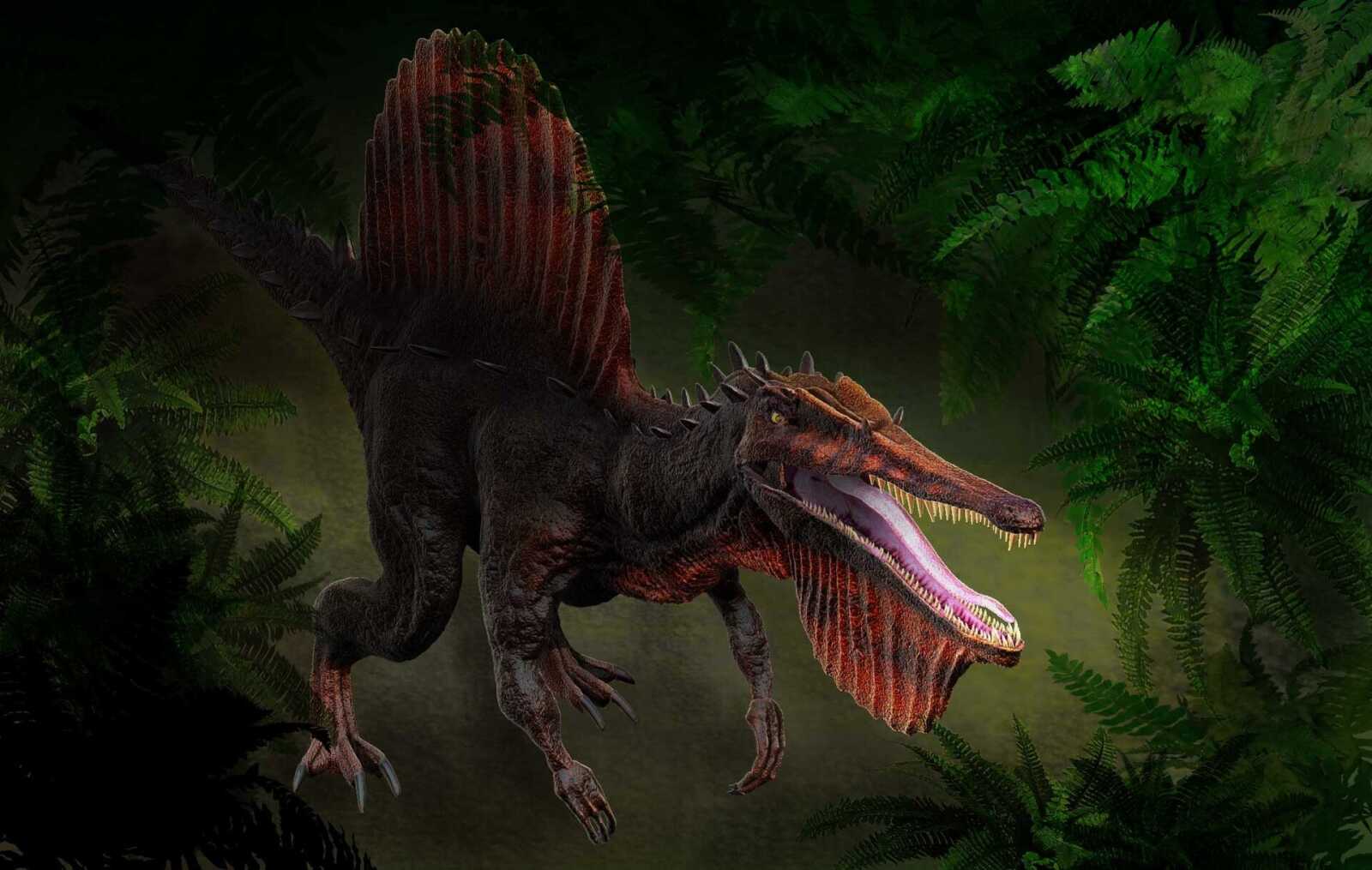 Spinosaurus Wallpapers (23 images) - WallpaperCat