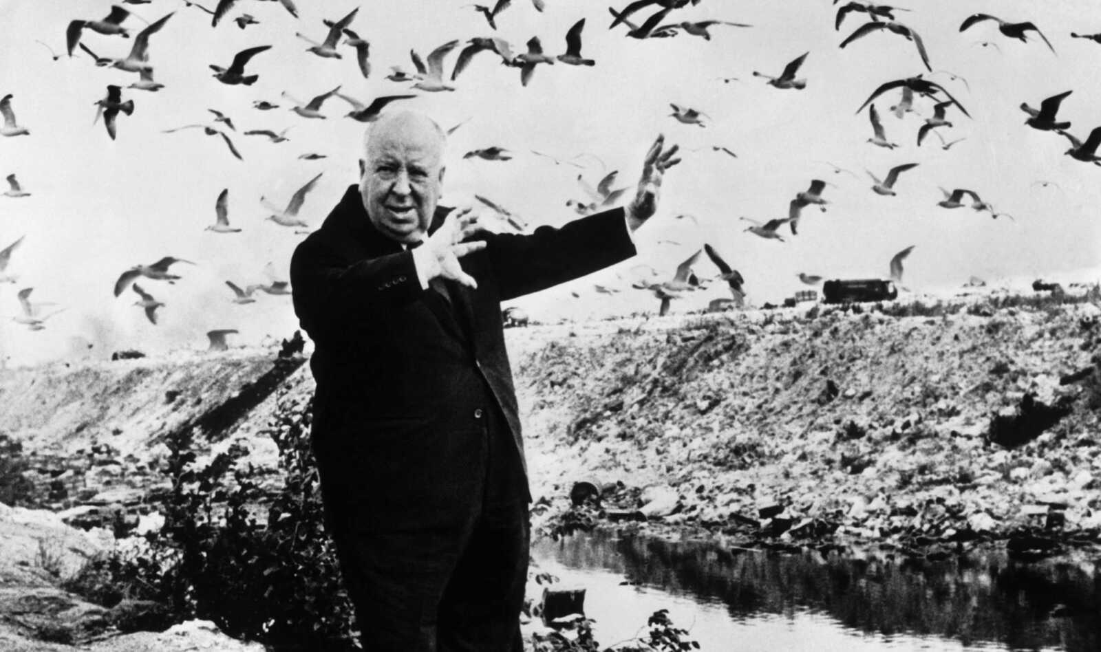 Alfred Hitchcock Wallpapers (49 images) - WallpaperCat