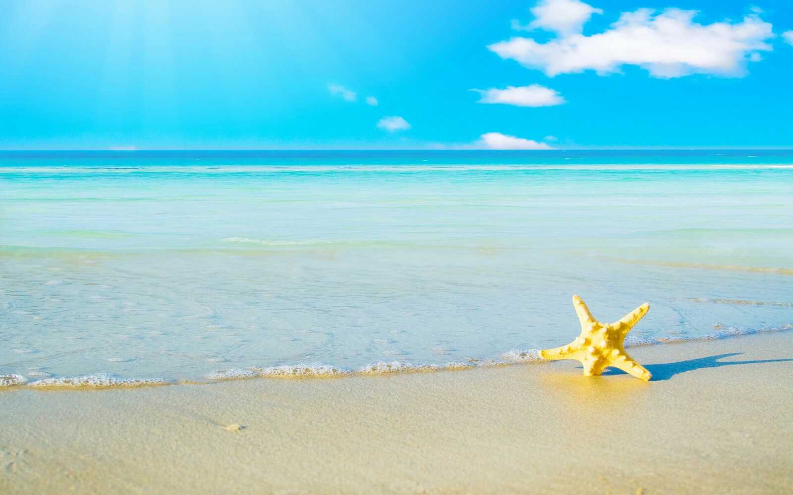 Summer Wallpapers (99 images) - WallpaperCat