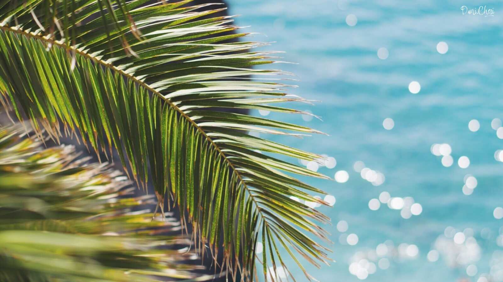 Summer Wallpapers (99 images) - WallpaperCat