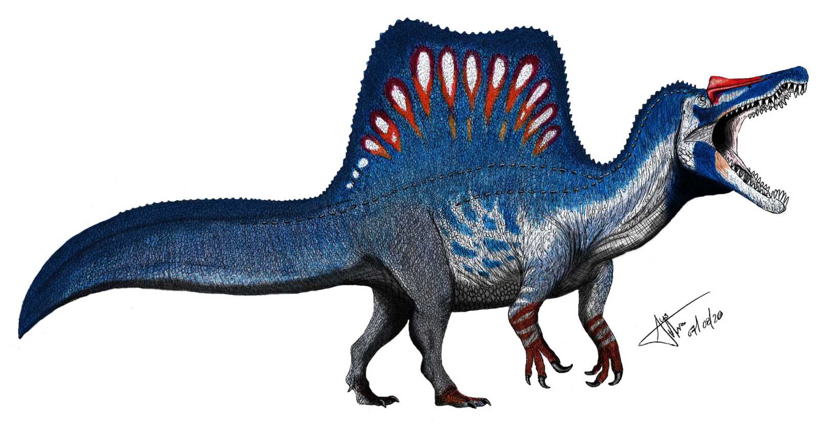 Spinosaurus Wallpapers (23 images) - WallpaperCat