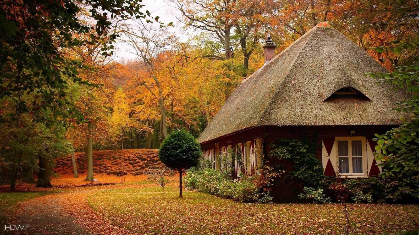 House Wallpapers (51 images) - WallpaperCat
