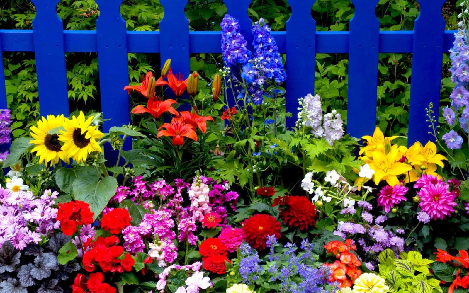 Flower Garden Wallpapers (27 images) - WallpaperCat