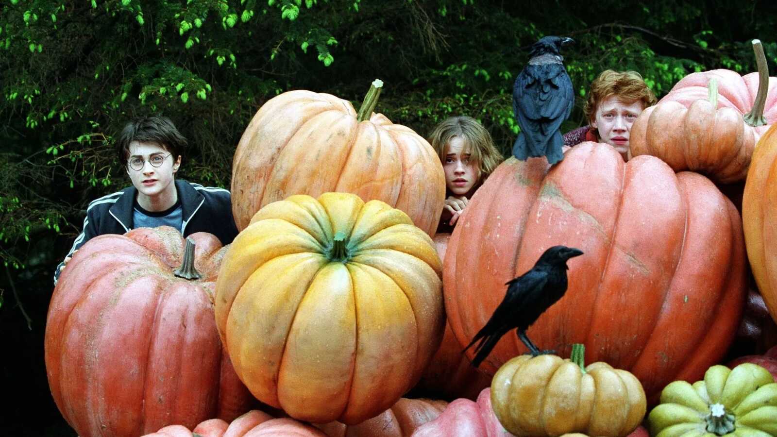 The Prisoner of Azkaban Wallpapers (47 images) - WallpaperCat