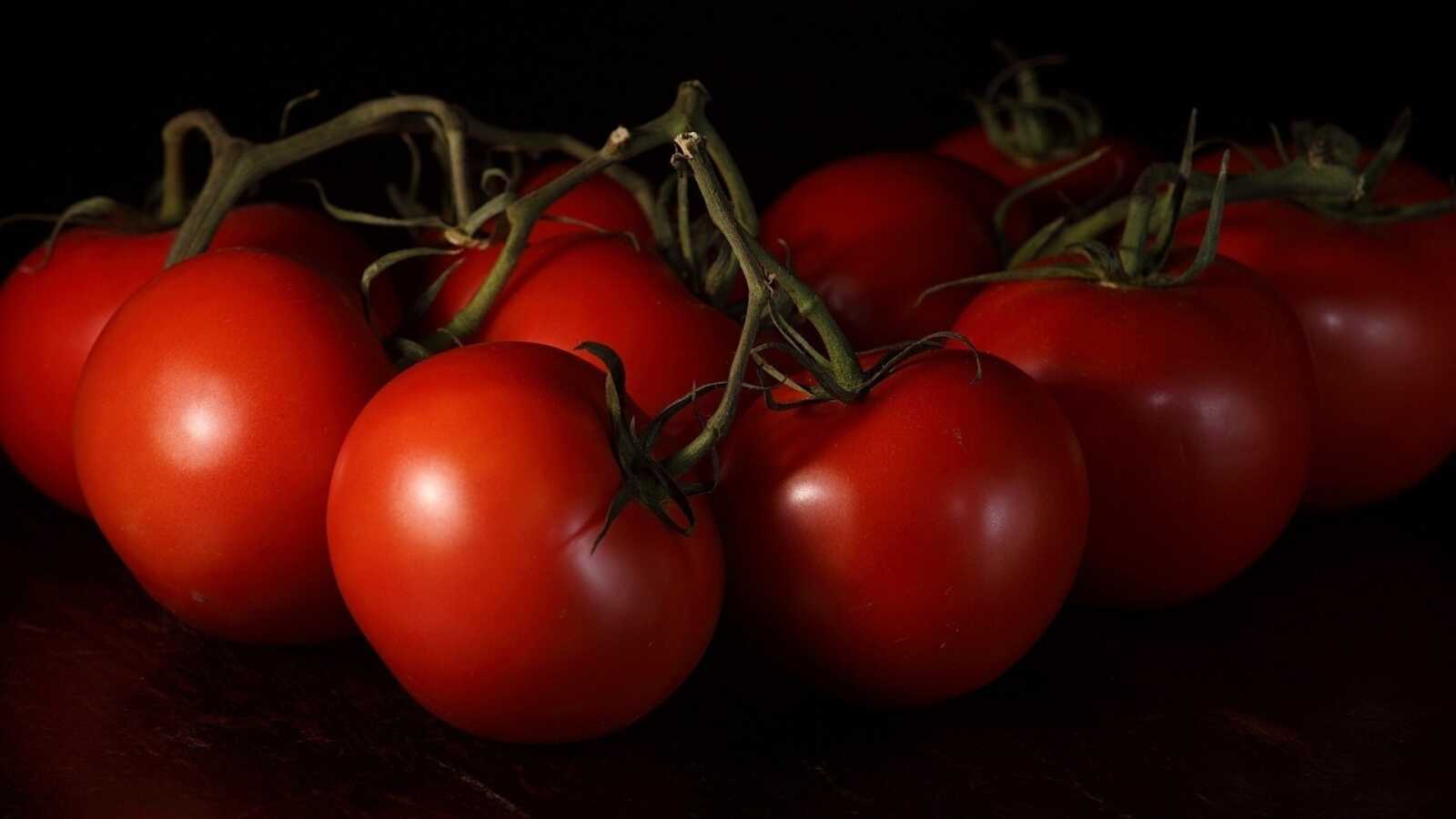 Tomato Wallpapers (70 images) - WallpaperCat