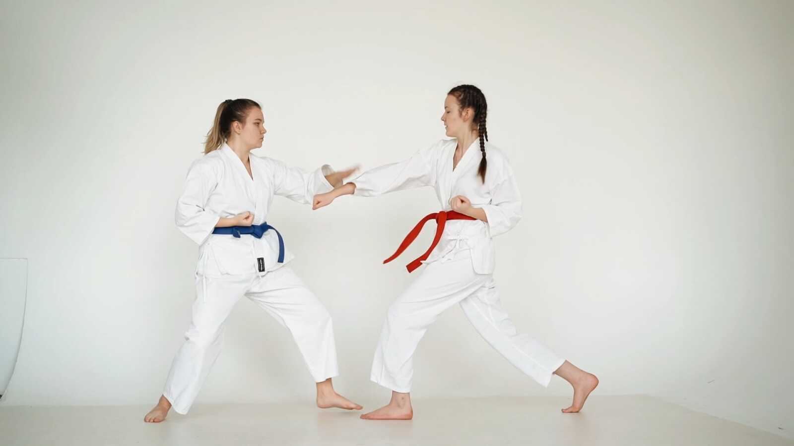 Karate Wallpapers (29 images) - WallpaperCat