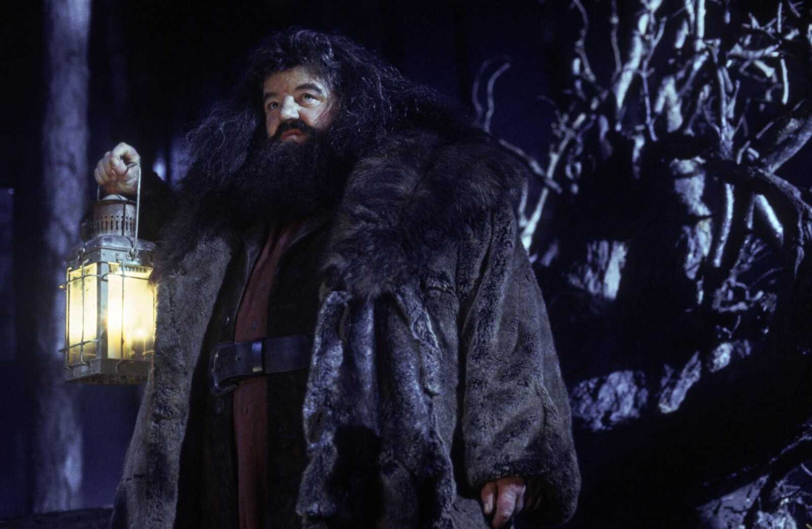 Hagrid Wallpapers (24 images) - WallpaperCat
