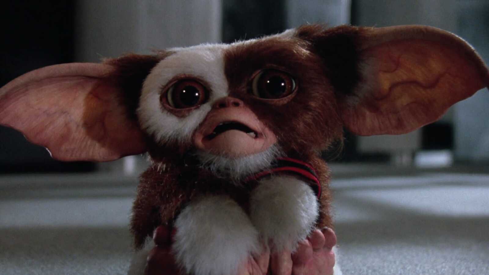 Gremlin Gizmo Wallpapers (26 images) - WallpaperCat
