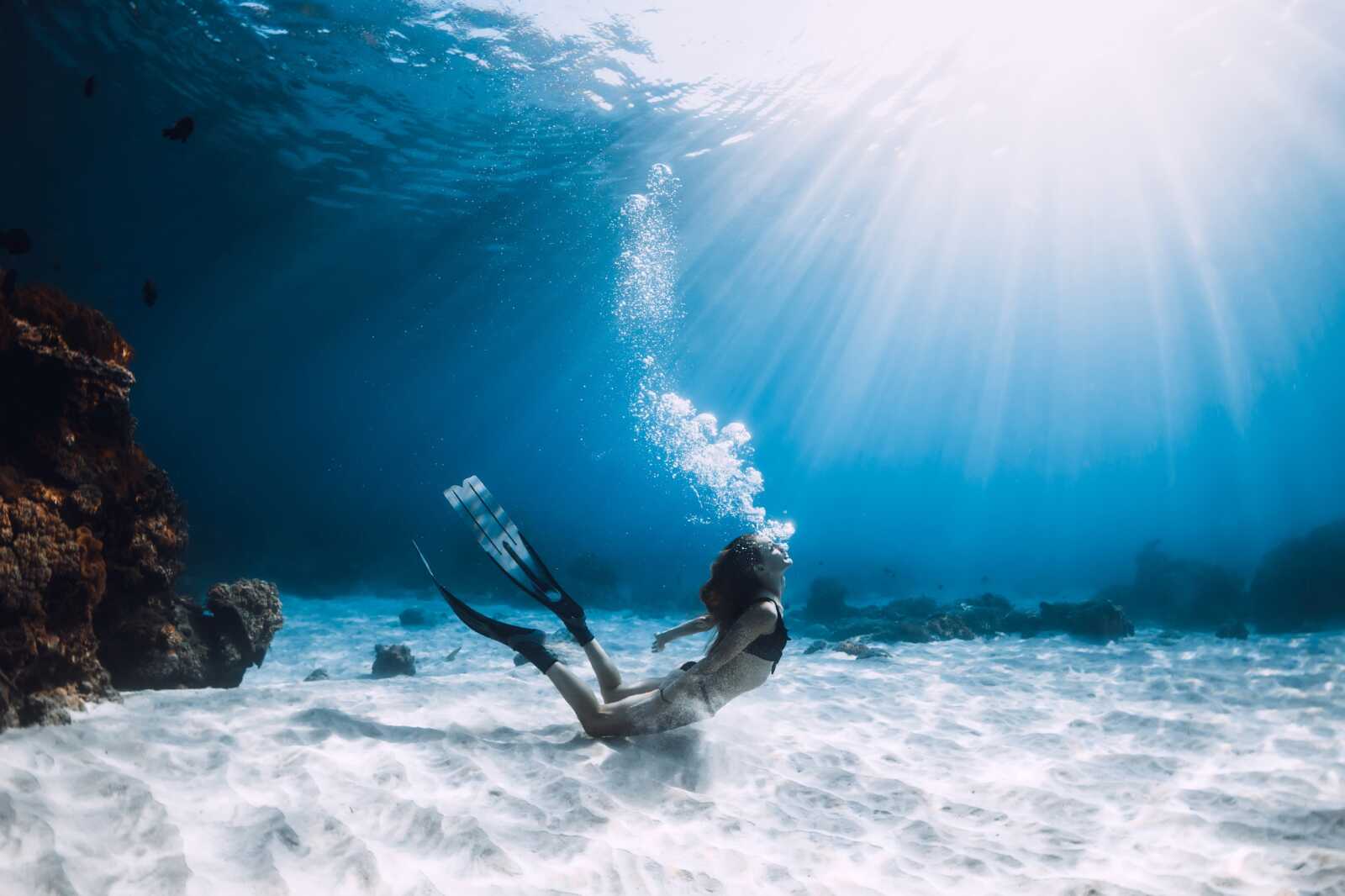 Diving Wallpapers (43 images) - WallpaperCat