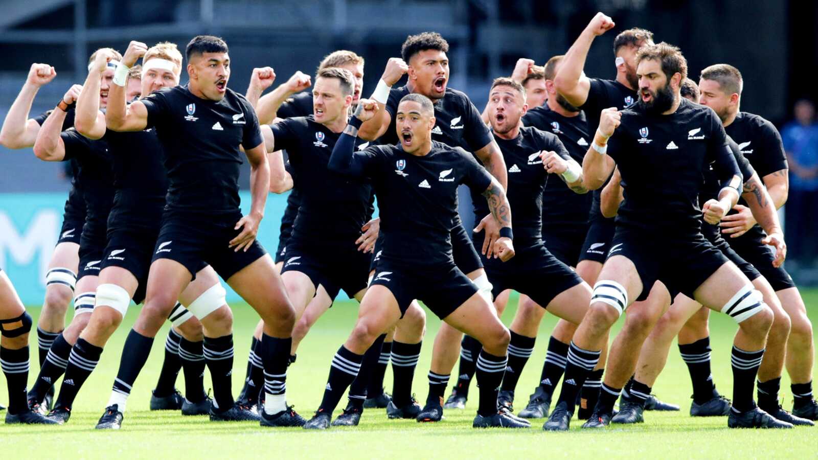 Haka Wallpapers (42 images) - WallpaperCat