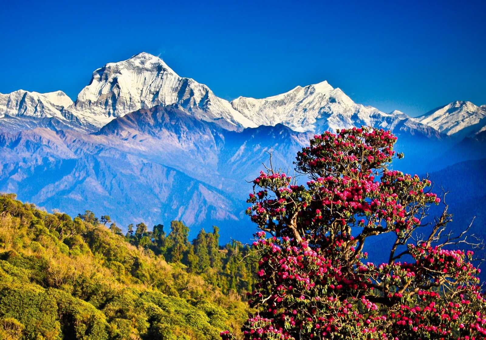 Nepal Wallpapers (43 images) - WallpaperCat