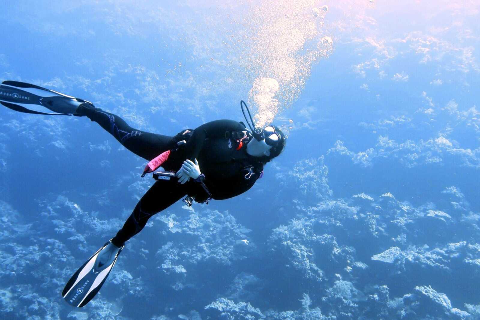 Scuba Diving Wallpapers (35 images) - WallpaperCat