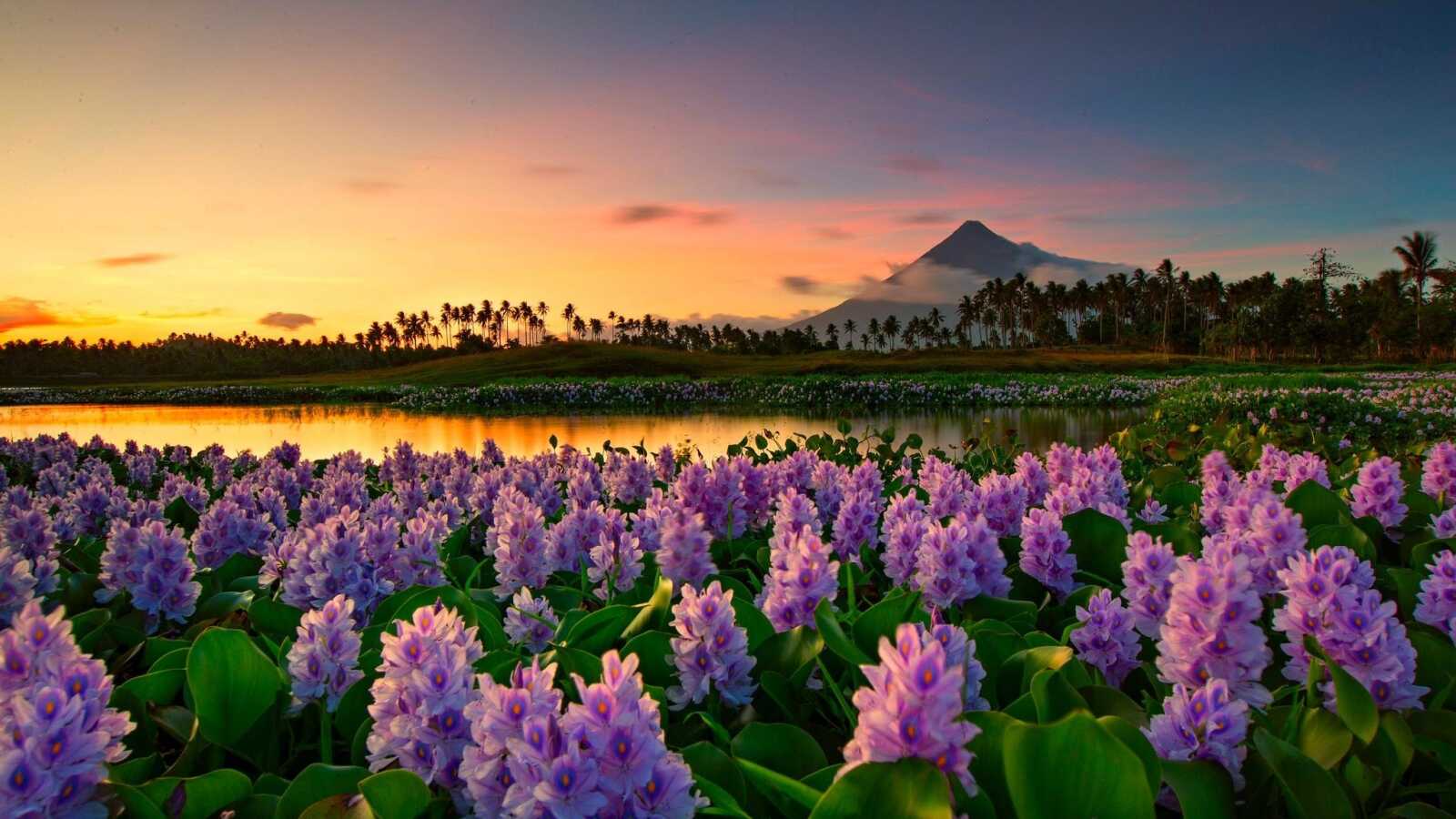 Philippines Wallpapers (57 images) - WallpaperCat
