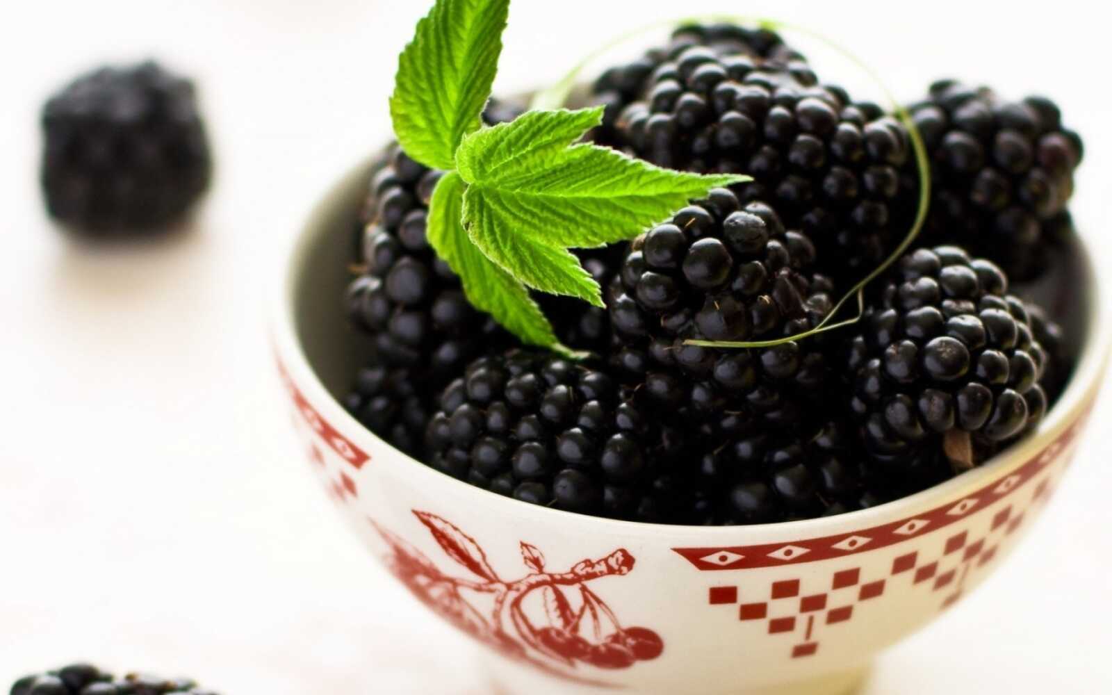 Blackberry Wallpapers (39 images) - WallpaperCat