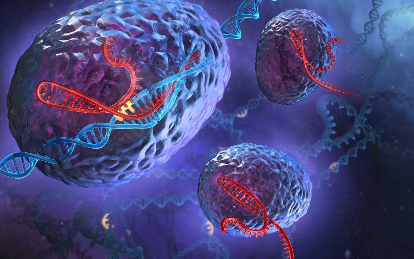 Biology Wallpapers (42 images) - WallpaperCat